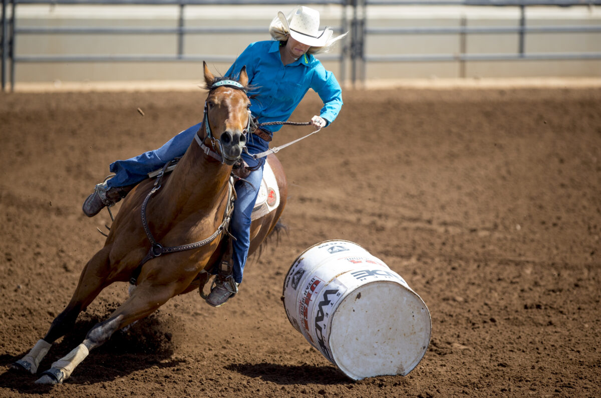 ALA senior Autumn Snyder making her own name in rodeo while showing ...